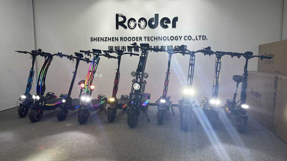 skateboard scooter OEM – Citycoco